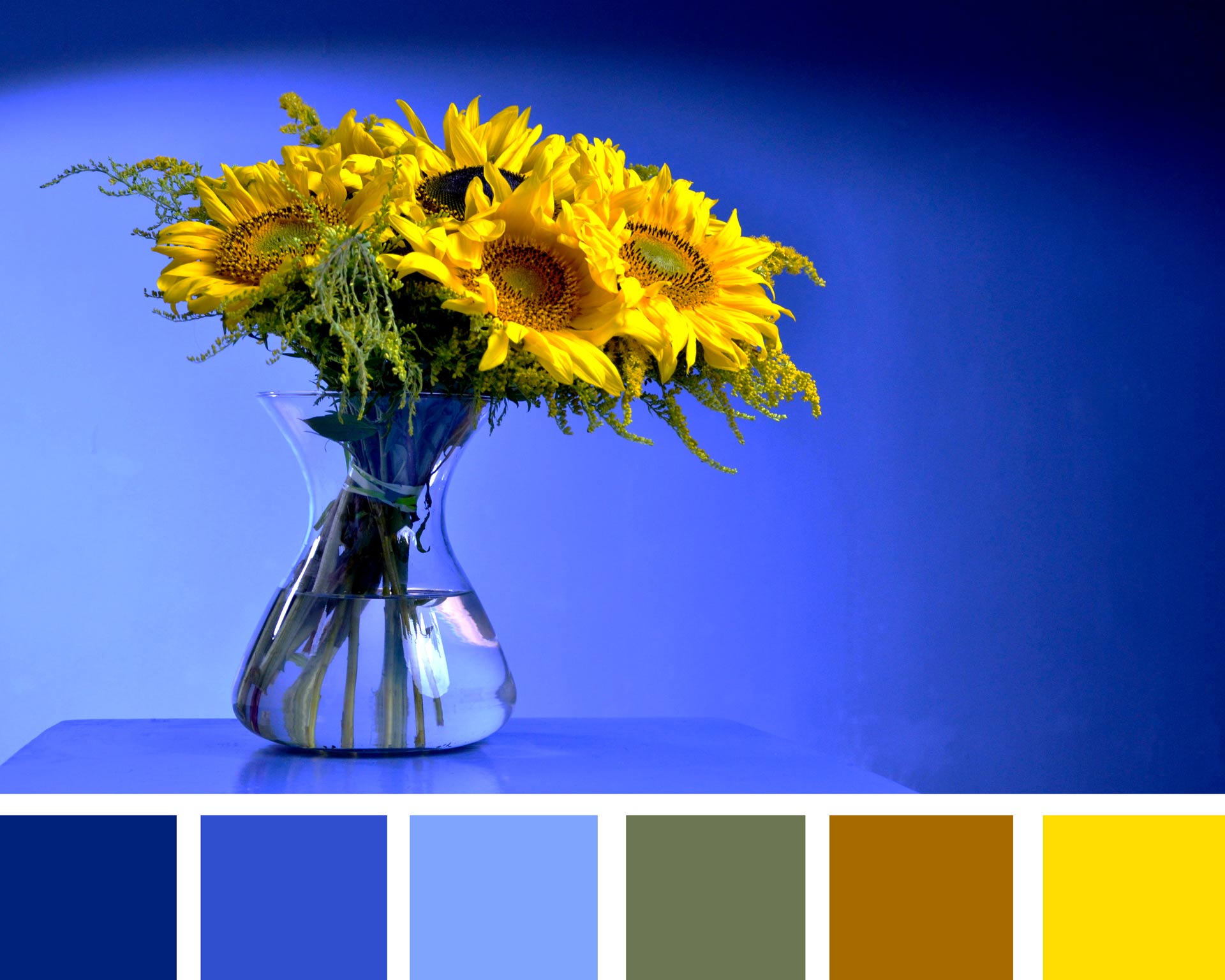 How to Utilise Colour Theory in Web Design - BNdesign Studio